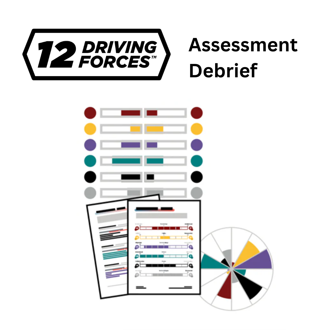 TTI Success Insights 12 Driving Forces Assessment Debrief